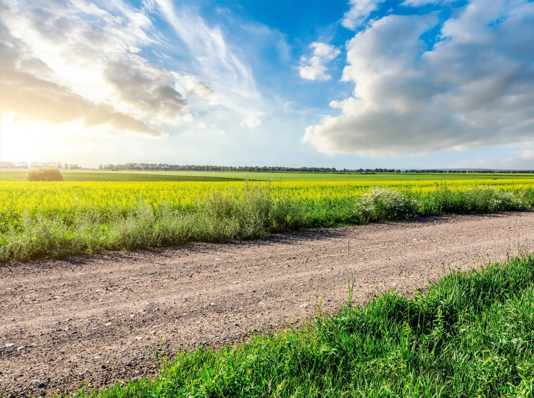 Agregados para Concreto: Qué es y Tipos (Fino y Grueso)